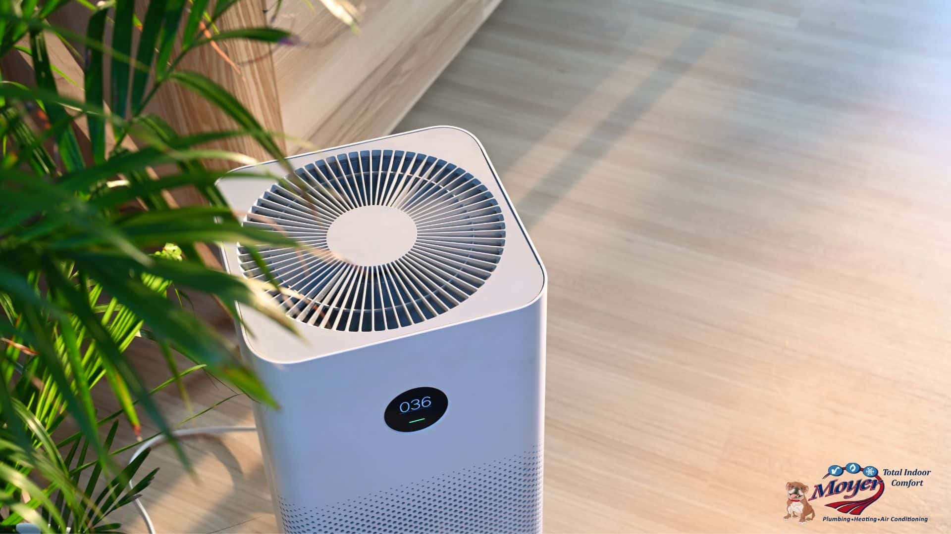 UV Light for Air Purification | Moyer Total Indoor Comfort